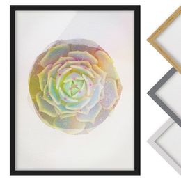 Bild mit Rahmen Wasserfarben - Sukkulente - Echeveria Ben Badis - gerahmte Wandbilder Print Abstrakt Botanik Tropical Fotomontage Muster Wohnzimmer