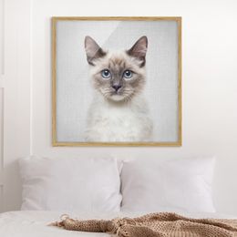 Bilderwelten Bild mit Rahmen Tiere schwarz weiss Motiv inkl. Rahmung - Siamkatze Sibylle - Katze Kinderzimmer Baby M&auml;dchen Jungen