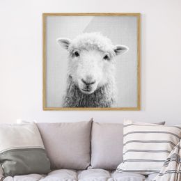 Bilderwelten Bild mit Rahmen Tiere schwarz weiss Motiv inkl. Rahmung - Schaf Steffi Schwarz Wei&szlig; - Deko Kinderzimmer Baby M&auml;dchen Jungen