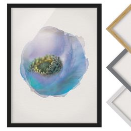 Bild mit Rahmen Wasserfarben - Anemone auf dem Fluss - gerahmte Wandbilder Print Aquarell Botanik Tropical Fotomontage Wohnzimmer Schlafzimmer Bad