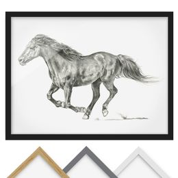 Bild mit Rahmen Wildpferd-Studie - Stute - gerahmte Wandbilder Print Illustration Kunstdruck Schwarz-Wei&szlig; Tiere Wohnzimmer Schlafzimmer Bad