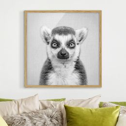 Bilderwelten Bild mit Rahmen Tiere schwarz weiss Motiv inkl. Rahmung - Lemur Ludwig Schwarz Wei&szlig; - Affe Kinderzimmer Baby M&auml;dchen Jungen