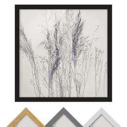 Bild mit Rahmen Gr&auml;servariationen - gerahmte Wandbilder Print Botanik Tropical Landhausstil Wohnzimmer Schlafzimmer Grau