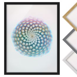 Bild mit Rahmen Wasserfarben - Kaktusbl&uuml;te - gerahmte Wandbilder Print Abstrakt Botanik Tropical Fotomontage Muster Wohnzimmer Schlafzimmer Bad