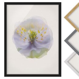 Bild mit Rahmen Wasserfarben - Anemonen Sch&ouml;nheit - gerahmte Wandbilder Print Aquarell Blumen Floral Fotomontage Wohnzimmer Schlafzimmer Bad