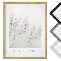 Bild mit Rahmen White Lavender