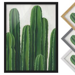 Bild mit Rahmen Lieblingspflanzen - Kaktus - gerahmte Wandbilder Print Blumen Floral Botanik Tropical Kunstdruck Wohnzimmer Schlafzimmer Bad