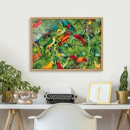 Bilderwelten Bild mit Rahmen Tiere bunt Tropisch inkl. Rahmung - Bunte Collage - Papageien im Dschungel - Pflanzen Wohnzimmer Schlafzimmer