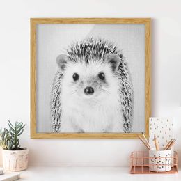 Bilderwelten Bild mit Rahmen Tiere schwarz weiss Motiv inkl. Rahmung - Igel Ingolf Schwarz Wei&szlig; - Deko Kinderzimmer Baby M&auml;dchen Jungen
