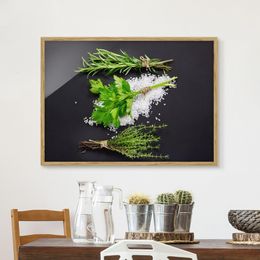 Bild mit Rahmen Kr&auml;uter im Salzbett vor Schwarz - gerahmte Wandbilder Print Fotografie K&uuml;che Esszimmer Gr&uuml;n