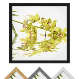 Bild mit Rahmen Elegant Orchid Waters - gerahmte Wandbilder Print Blumen Floral Wohnzimmer Schlafzimmer Bad Badezimmer K&uuml;che Flur Esszimmer Wei&szlig;