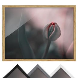Bild mit Rahmen Sinnliche Tulpe