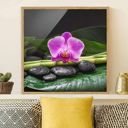 Bild mit Rahmen Gr&uuml;ner Bambus mit Orchideenbl&uuml;te - gerahmte Wandbilder Print Spirituell Steinoptik Bad Badezimmer Gr&uuml;n