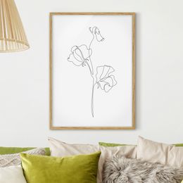 Bild mit Rahmen Line Art Blumen - Erbsenpflanze - gerahmte Wandbilder Print Portrait Wohnzimmer Schwarz/Wei&szlig;