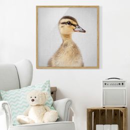Bilderwelten Bild mit Rahmen Tiere schwarz weiss Motiv inkl. Rahmung - Baby Ente Eddie - V&ouml;gel Kinderzimmer Baby M&auml;dchen Jungen