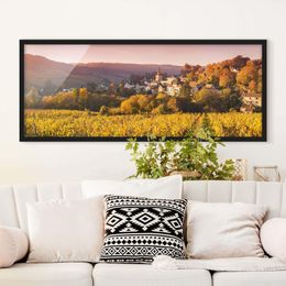 Bild mit Rahmen Weinberge in Frankreich - gerahmte Wandbilder Print Natur Wohnzimmer Gelb