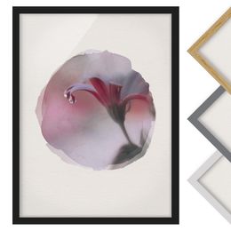 Bild mit Rahmen Wasserfarben - Invisible Touch - gerahmte Wandbilder Print Aquarell Blumen Floral Fotomontage Wohnzimmer Schlafzimmer Bad Badezimmer