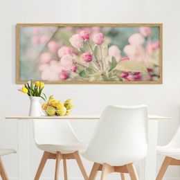 Bild mit Rahmen Apfelbl&uuml;te Bokeh rosa - gerahmte Wandbilder Print Fotografie Wohnzimmer Rosa