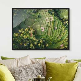 Bild mit Rahmen Gr&uuml;ne Terassen - gerahmte Wandbilder Print Botanik Tropical Natur Wohnzimmer Gr&uuml;n