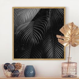 Bild mit Rahmen Schwarze Palmwedel - gerahmte Wandbilder Print Botanik Tropical Schlafzimmer Wohnzimmer Schwarz