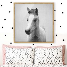 Bilderwelten Bild mit Rahmen Tiere schwarz weiss Motiv inkl. Rahmung - Baby Pferd Philipp Schwarz Wei&szlig; - Pferde Kinderzimmer Baby M&auml;dchen Jungen
