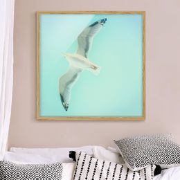 Bild mit Rahmen Blauer Himmel mit M&ouml;we - gerahmte Wandbilder Print Tiere Wohnzimmer Blau