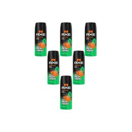 AXE Deo-Set Bodyspray Jungle Fresh 6x 150ml Deo Deospray ohne Aluminiumsalze