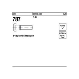 Reyher Schraube 100er Pack T-Nutenschraube DIN 787 16 M16x 100 8.8 10 Stück DIN 787 8