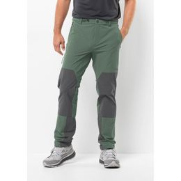 Trekkinghose Jack Wolfskin "ANDUR PANTS M" Gr. 46, Normalgrößen, grün (hedge, green) Herren Hosen Trekkinghosen