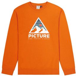 PICTURE - Authentic Crew - Pullover Gr S orange