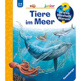 RAVENSBURGER VERLAG Tiere im Meer / Wieso? Weshalb? Warum? Junior Bd.57 - Anita van Saan, Kartoniert (TB)