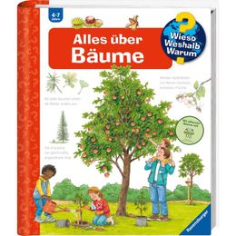 RAVENSBURGER VERLAG Alles über Bäume / Wieso? Weshalb? Warum? Bd.52 - Susanne Gernhäuser, Pappband