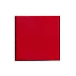 Deckenpaneele colorPAD®, für Rasterdecken, B 620 x T 620 x H 32 mm, feuerrot, glatt