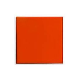 Deckenpaneele colorPAD®, für Rasterdecken, B 620 x T 620 x H 32 mm, orange, glatt