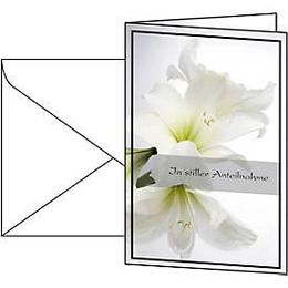 Sigel Trauerkarte Weiße Amaryllis, 10 Stück