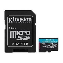 Kingston - Flash-Speicherkarte - 256 GB - microSDXC UHS-I