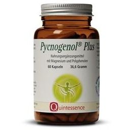 Pycnogenol® Plus, 60 Kapseln