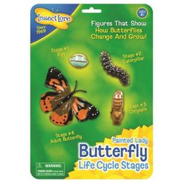 Insect Lore Experimentierkasten Butterfly Life Cycle Stages