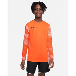 Torwarttrikot Nike Torwart Park IV Orange für Kind - CJ6072-819 XS