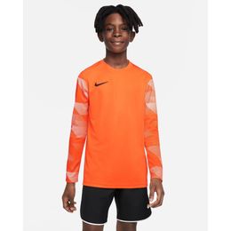 Torwarttrikot Nike Torwart Park IV Orange für Kind - CJ6072-819 XS