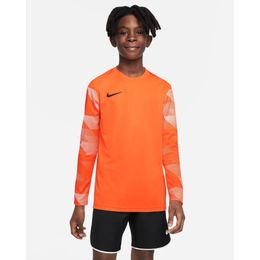 Torwarttrikot Nike Torwart Park IV Orange für Kind - CJ6072-819 L