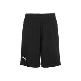 Puma Trainingsshorts Basketball Practise Shorts Herren