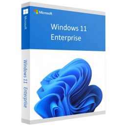Microsoft Windows 11 Enterprise 64 bit - Microsoft Lizenz