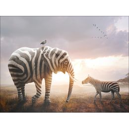 Pro Art Keilrahmenbild ANIMAL MEETING (BHT 77x57x2 cm)