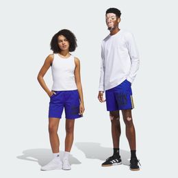 Adidas Skateboarding Graphic Water Shorts – Genderneutral