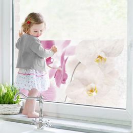 MICASIA Fensterfolie - Sichtschutz Fenster Delicate Orchids - Fensterbilder Größe HxB: 36cm x 72cm