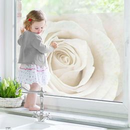 MICASIA Fensterfolie - Sichtschutz Fenster Pretty White Rose - Fensterbilder Größe HxB: 10cm x 16cm