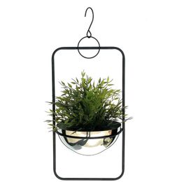 DanDiBo Blumenampel Innen Metall Wand Hängepflanzen 54 cm 96083 m mit Topf Silber Pflanzenhänger Blumenhänger Topfhänger Blumen Blumentopfhänger Hängetopf