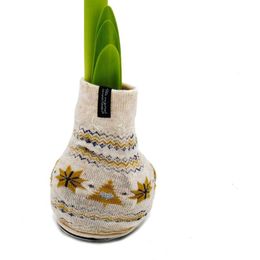 Exotenherz - Amaryllis-Zwiebel in der Norweger-Socke - Ritterstern - Die originelle Geschenk-Idee beige