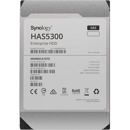 Synology Enterprise 3.5" SAS HDD Festplatte 12TB